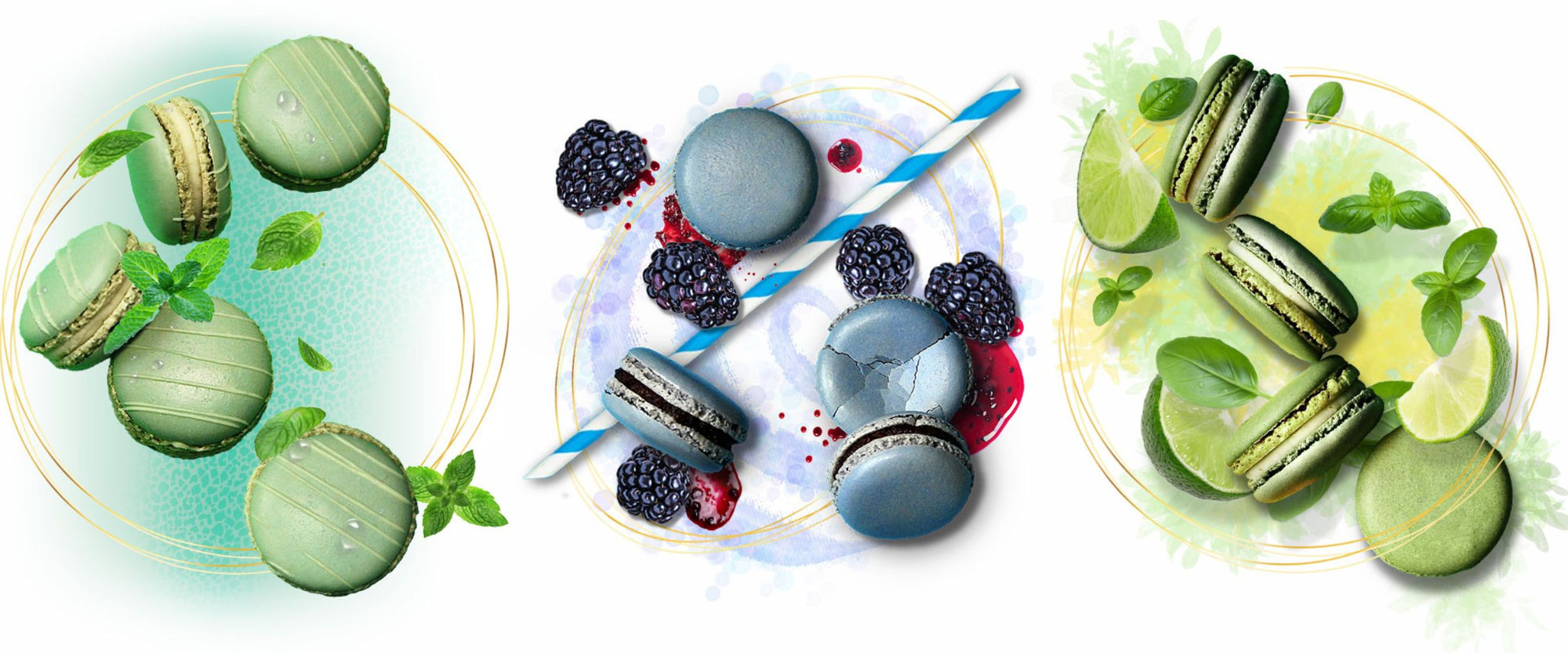 POINT G - Macarons, Cannelés, Madeleines and more! – Boutique Point G