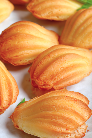 POINT G - Macarons, Cannelés, Madeleines and more! – Boutique Point G