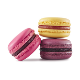 POINT G - Macarons, Cannelés, Madeleines and more! – Boutique Point G
