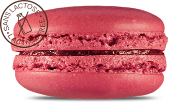 POINT G - Macarons, Cannelés, Madeleines and more! – Boutique Point G