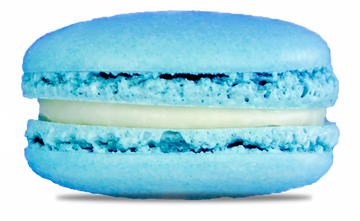 POINT G - Macarons, Cannelés, Madeleines and more! – Boutique Point G